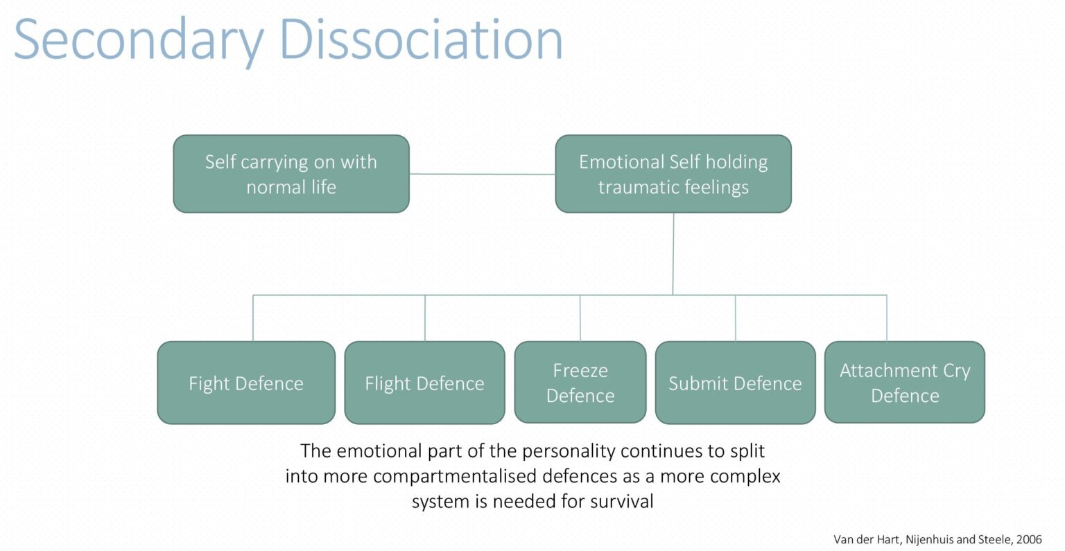 Structural Dissociation – Sarah Graham